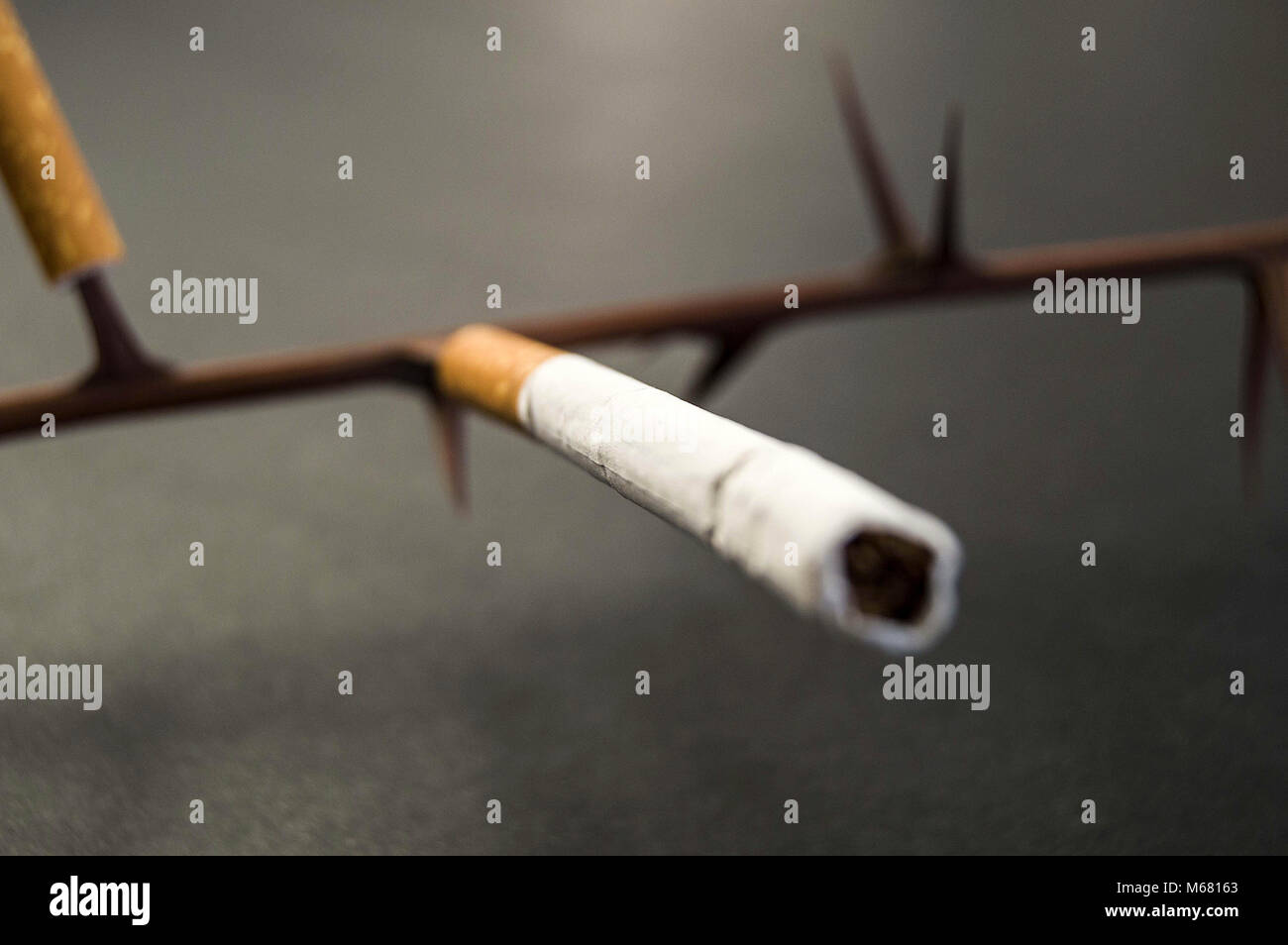 smoking is lethal for humans, smoking is a stumbling block in people's ...