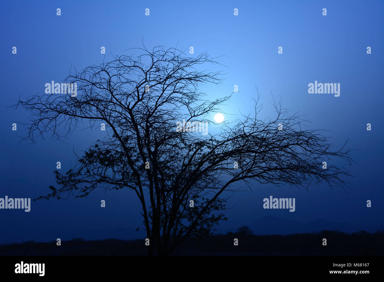 Silhouette skyline illustration hi-res stock photography and images - Alamy