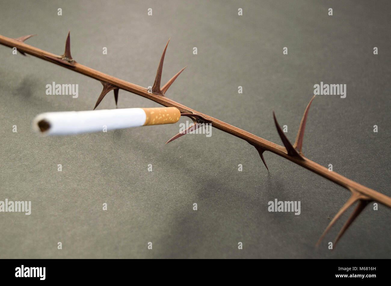smoking is lethal for humans, smoking is a stumbling block in people's ...