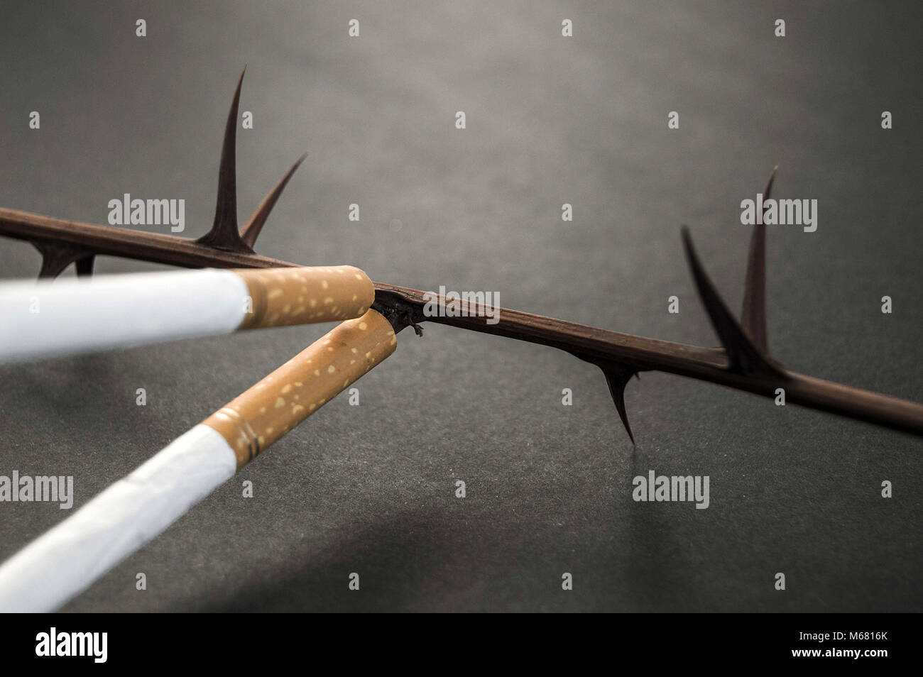 smoking is lethal for humans, smoking is a stumbling block in people's ...