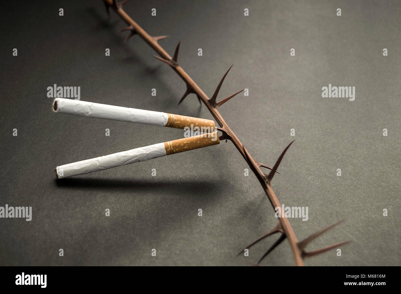 smoking is lethal for humans, smoking is a stumbling block in people's ...