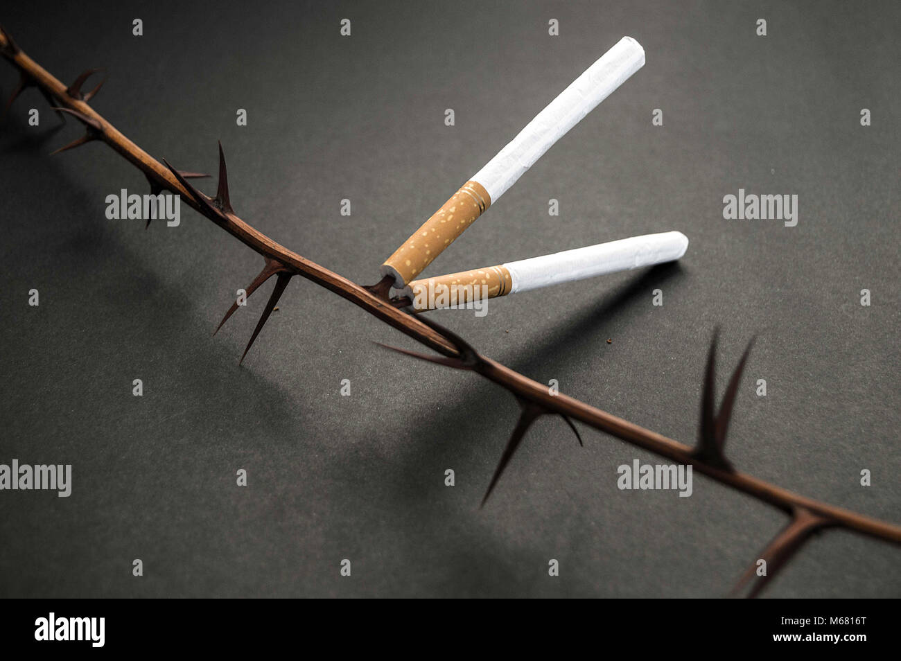 smoking is lethal for humans, smoking is a stumbling block in people's ...