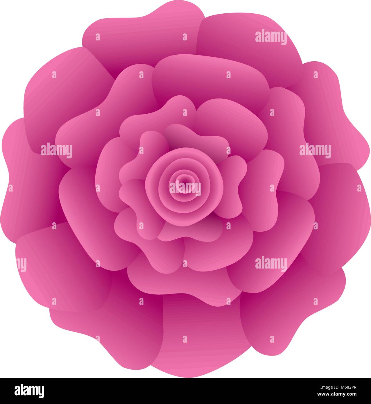 decorative natural carnation flower top view vector illustration Stock ...