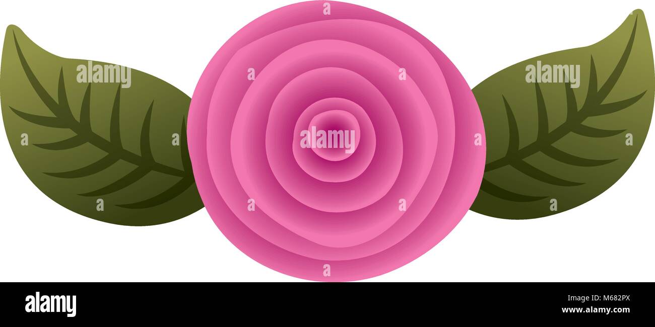 decorative pink rose with leaves top view vector illustration Stock ...