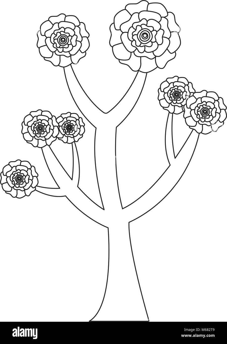 Carnation outline hi-res stock photography and images - Alamy