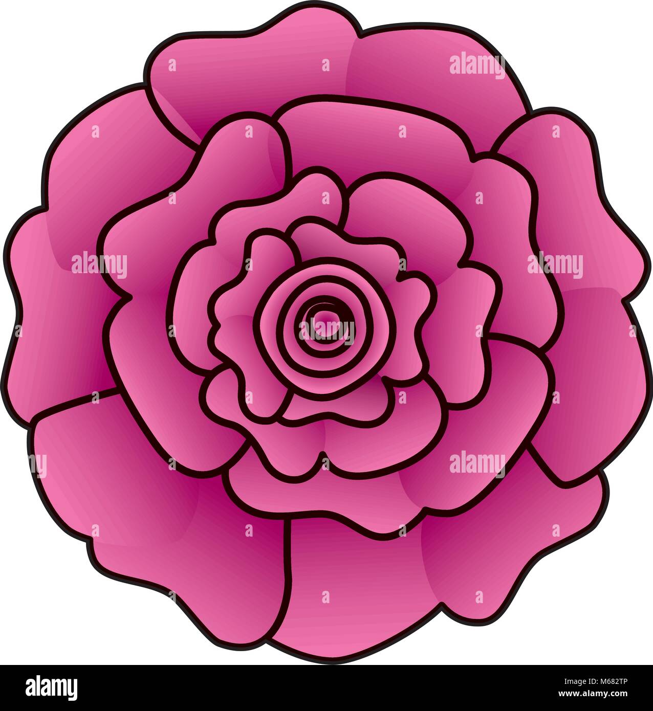 decorative natural carnation flower top view vector illustration Stock ...