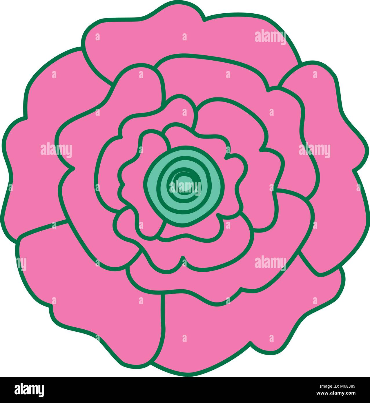 decorative natural carnation flower top view vector illustration pink ...