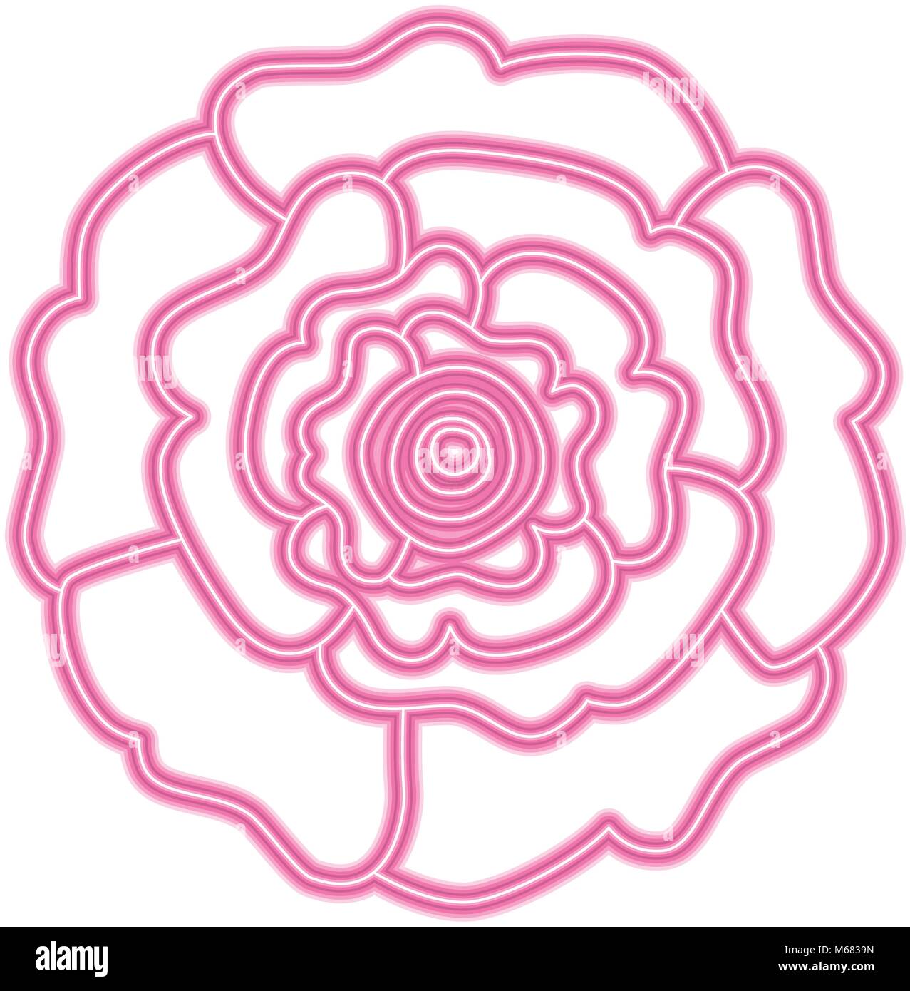 decorative natural carnation flower top view vector illustration neon ...