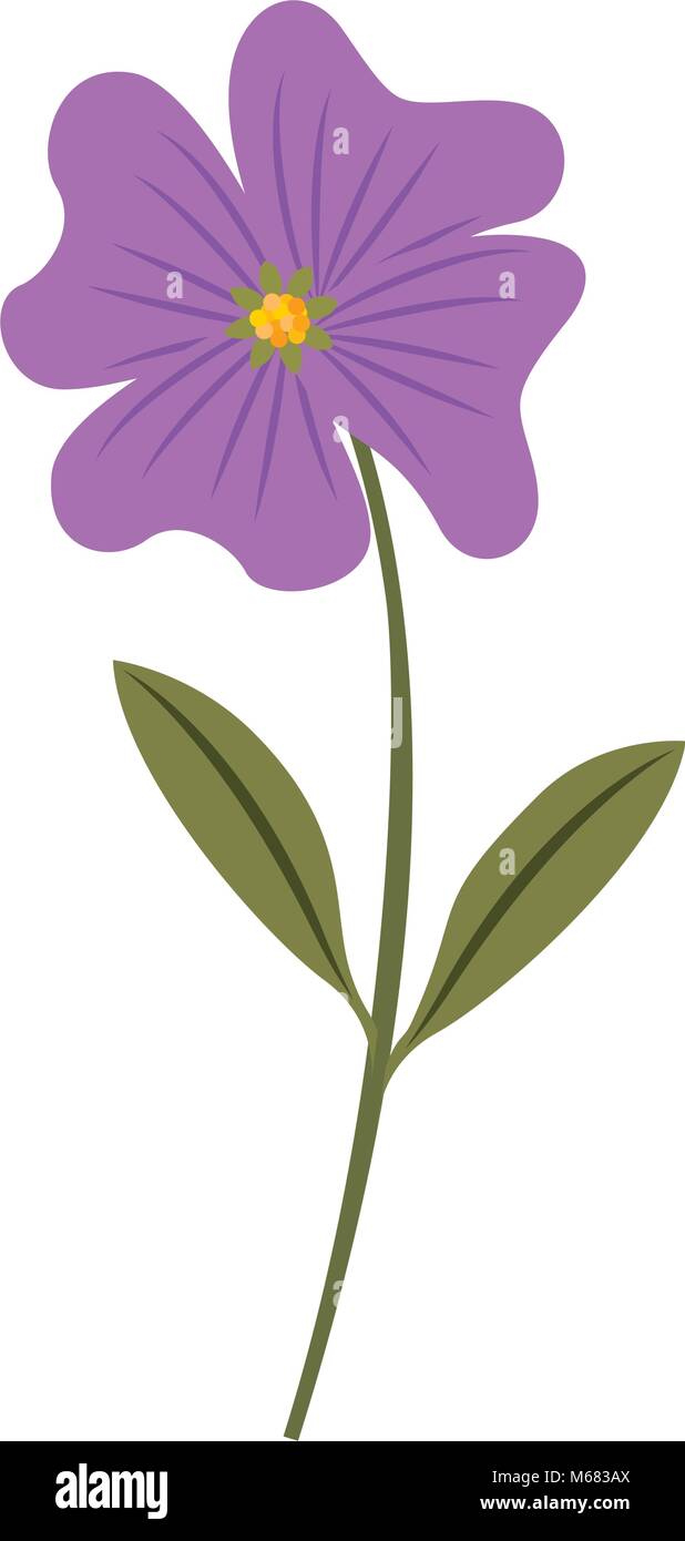 cute flower periwinkle petals leaves stem icon vector illustration ...