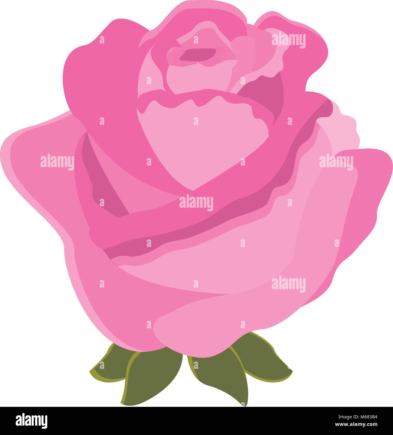 flower rose delicate decoration floral nature petals vector ...