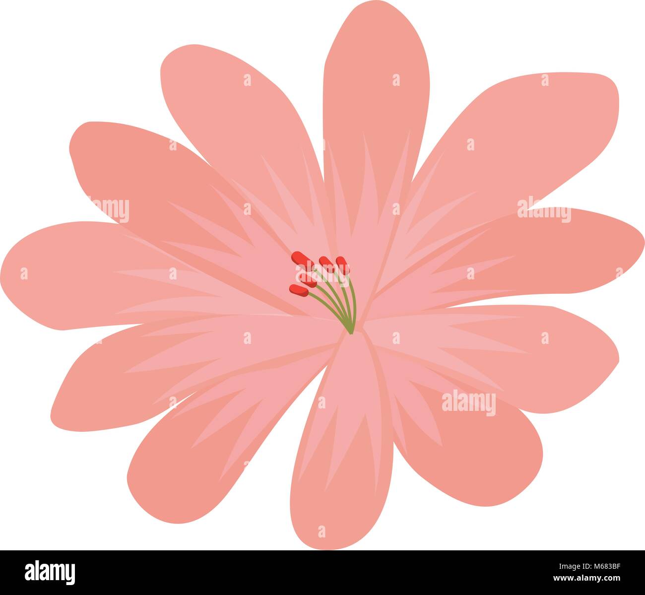 flower delicate decoration floral nature petals vector illustration ...
