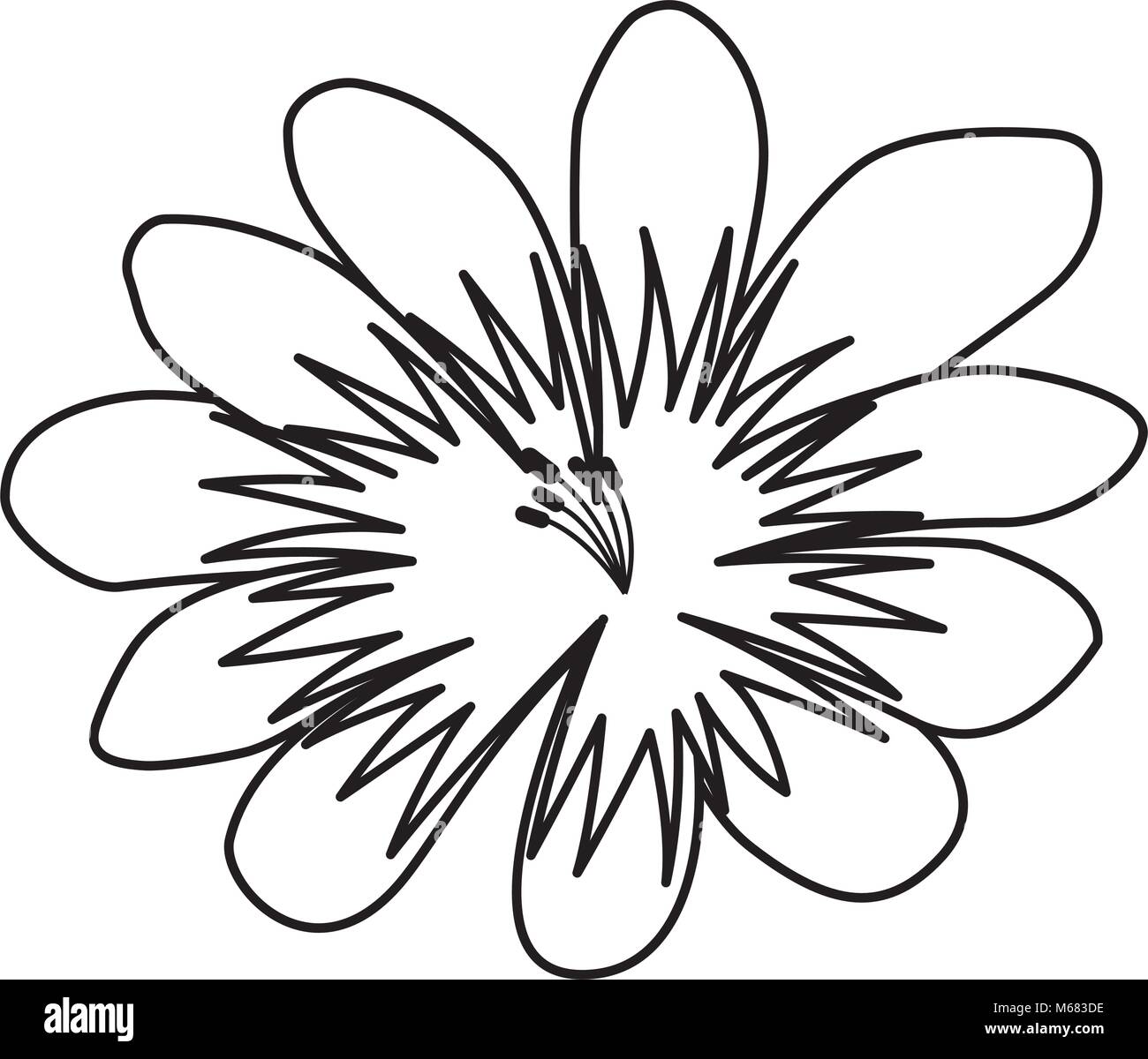 flower delicate decoration floral nature petals vector illustration ...