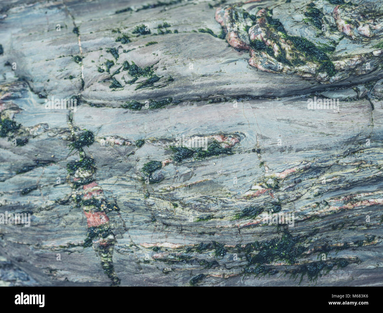 Rocks with moss and vegetative growth Stock Photo - Alamy