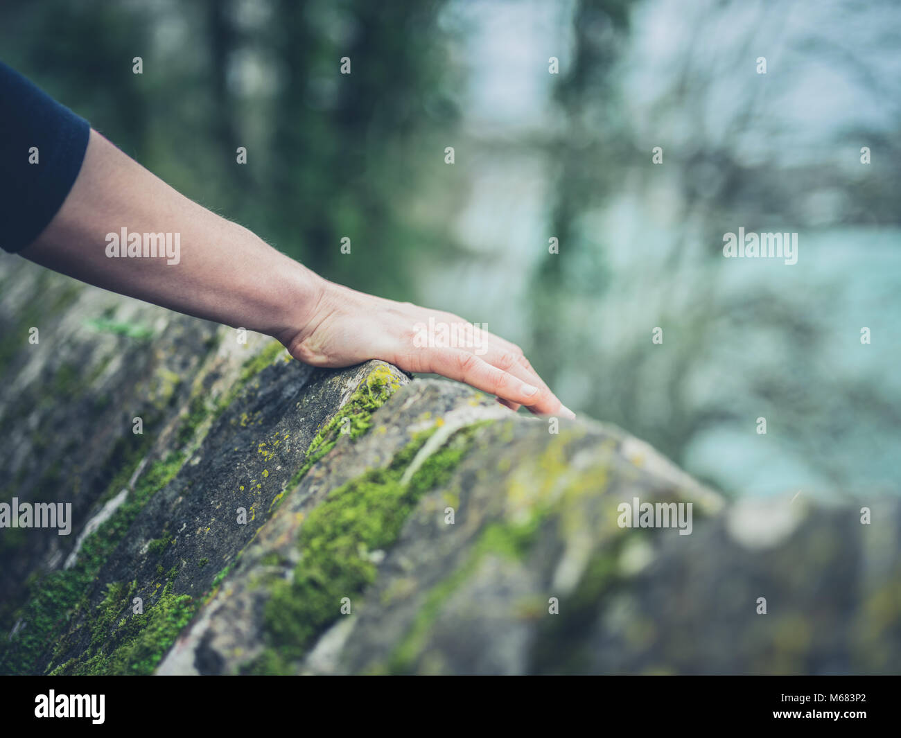 A young female hand resting on a stone wall outside in nature Stock ...