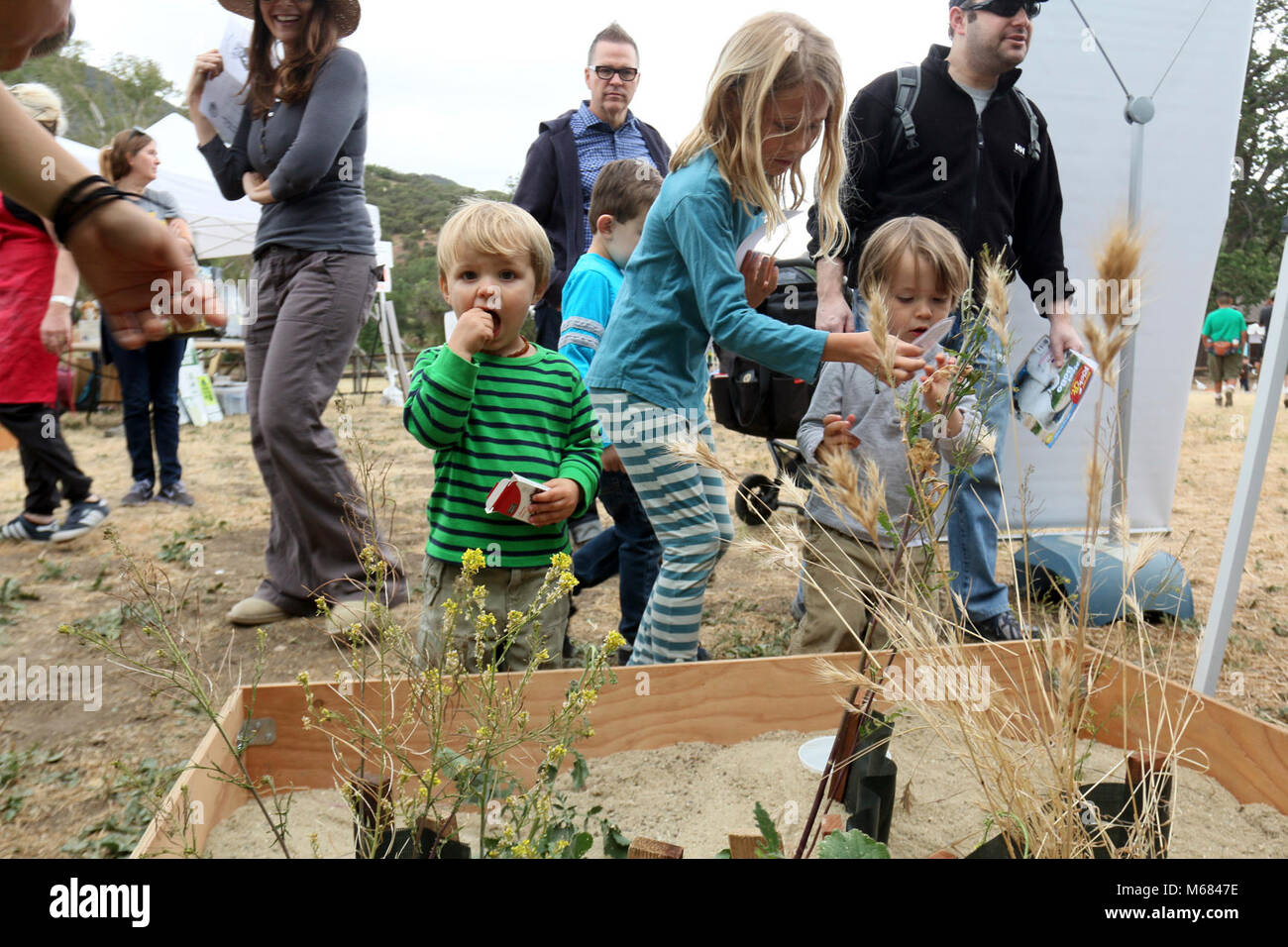 Science Fest 2015 Stock Photo - Alamy