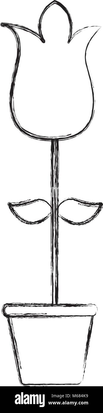 Rose border garden blossom Black and White Stock Photos & Images - Alamy