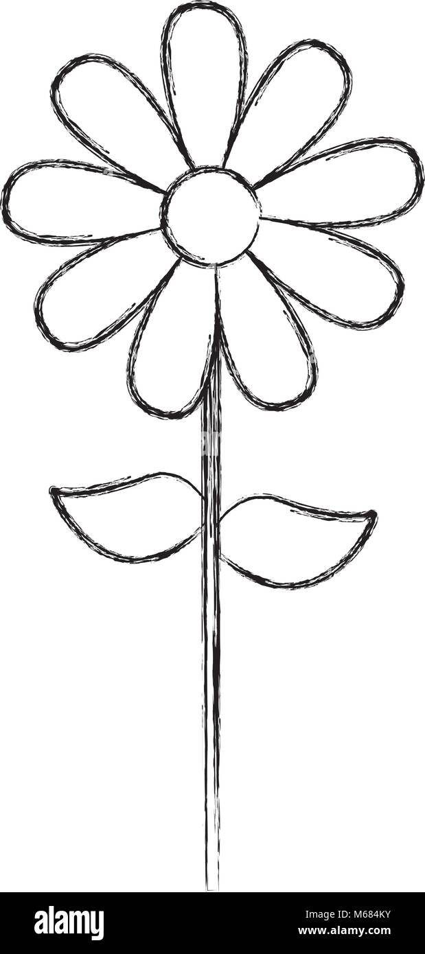 Sunflower frame vector flower Black and White Stock Photos & Images - Alamy