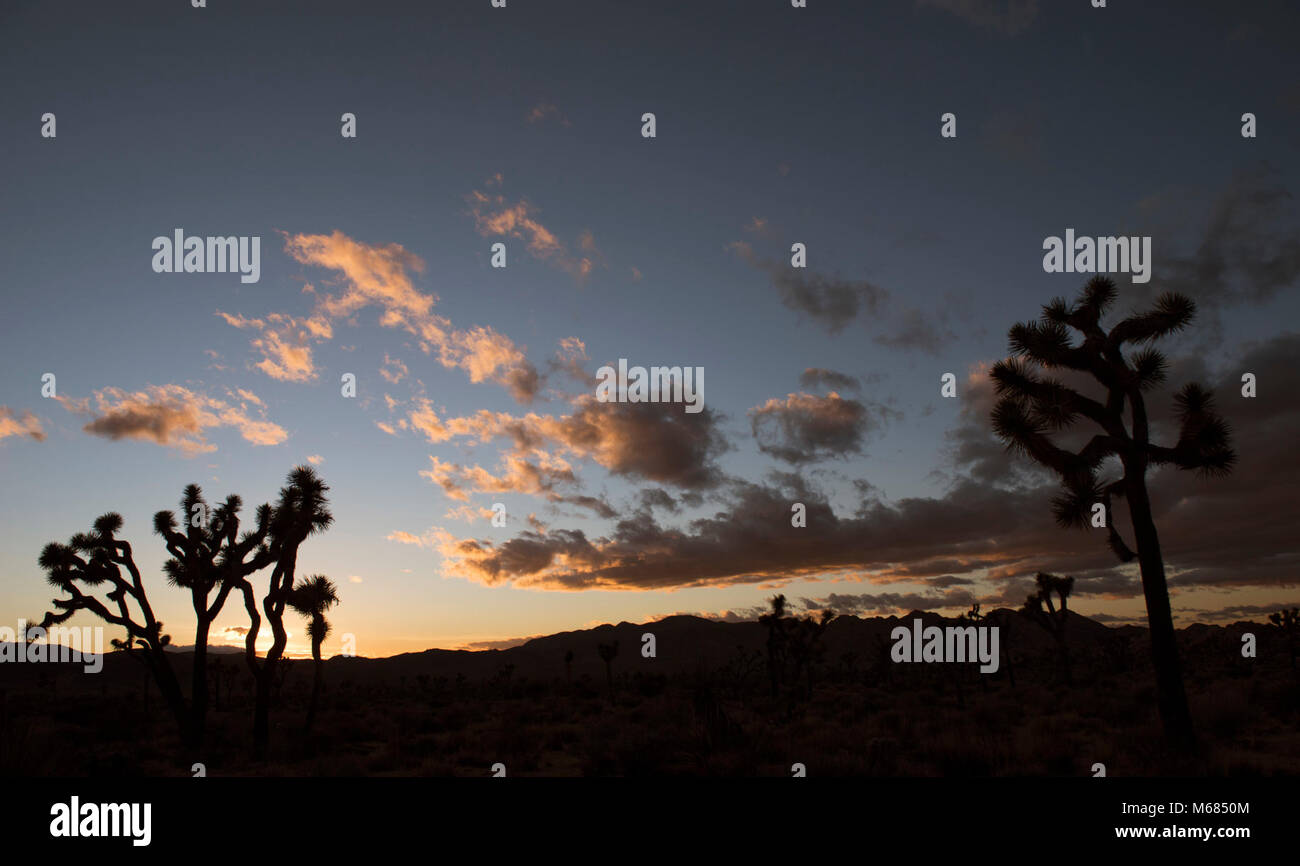 Sunset at Hall of Horrors Stock Photo - Alamy