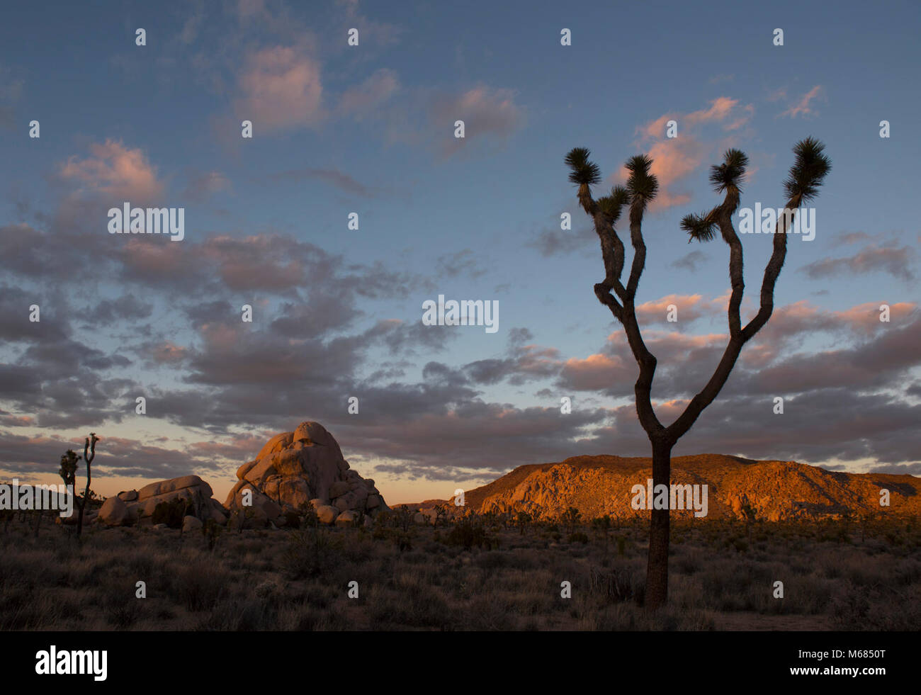 Sunset at Hall of Horrors Stock Photo - Alamy