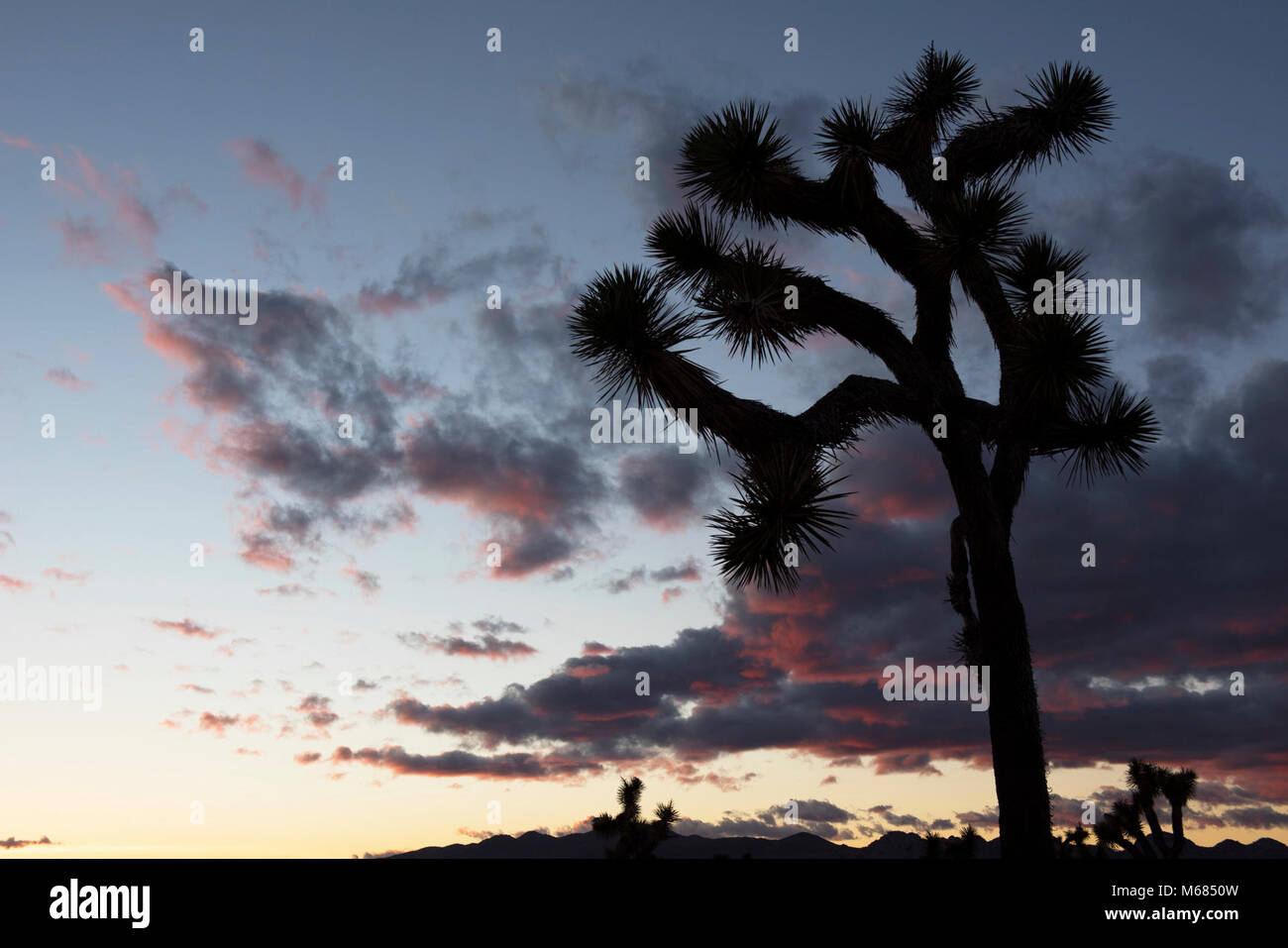Sunset at Hall of Horrors Stock Photo - Alamy