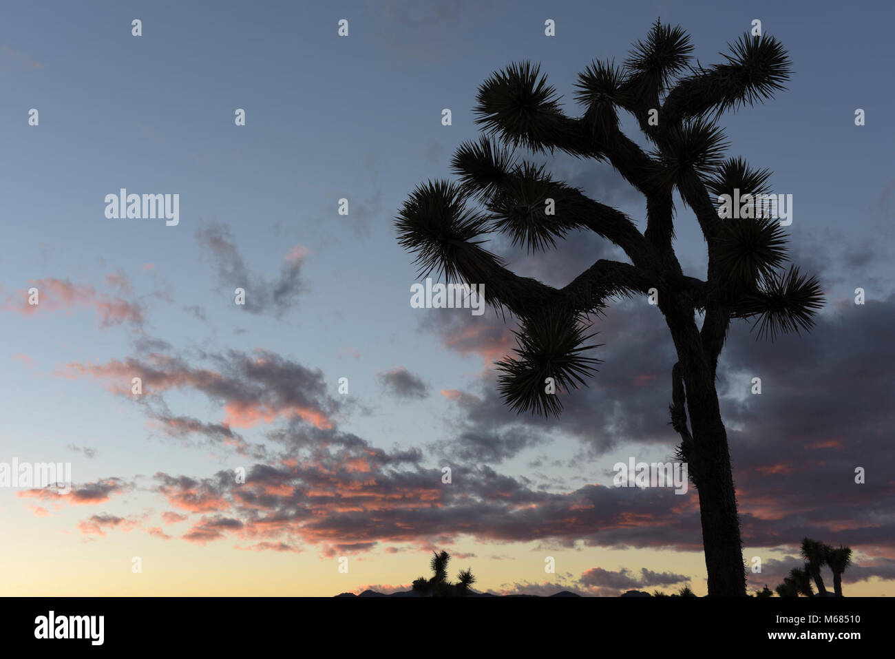Sunset at Hall of Horrors Stock Photo - Alamy