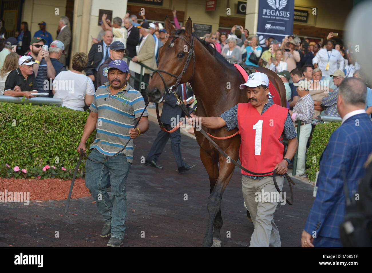 The $16 Million Pegasus World Cup Invitational, the world's richest ...