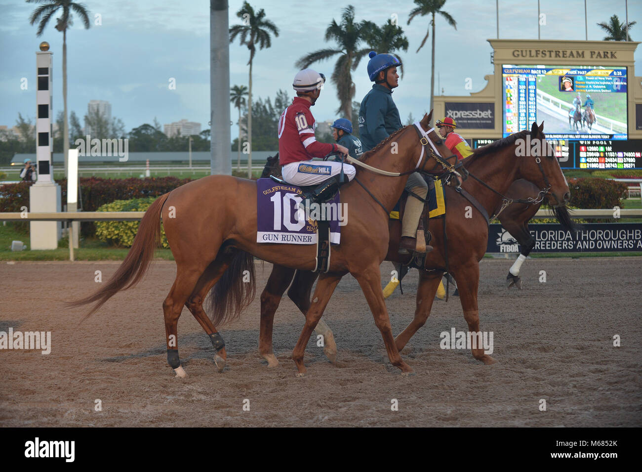 The $16 Million Pegasus World Cup Invitational, the world's richest ...