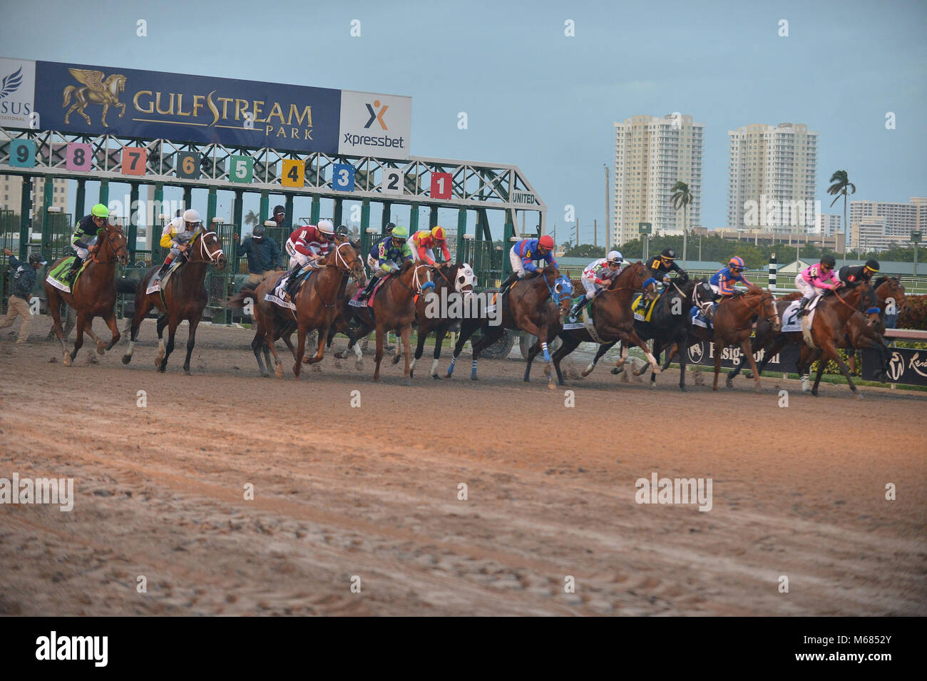 The $16 Million Pegasus World Cup Invitational, the world's richest ...