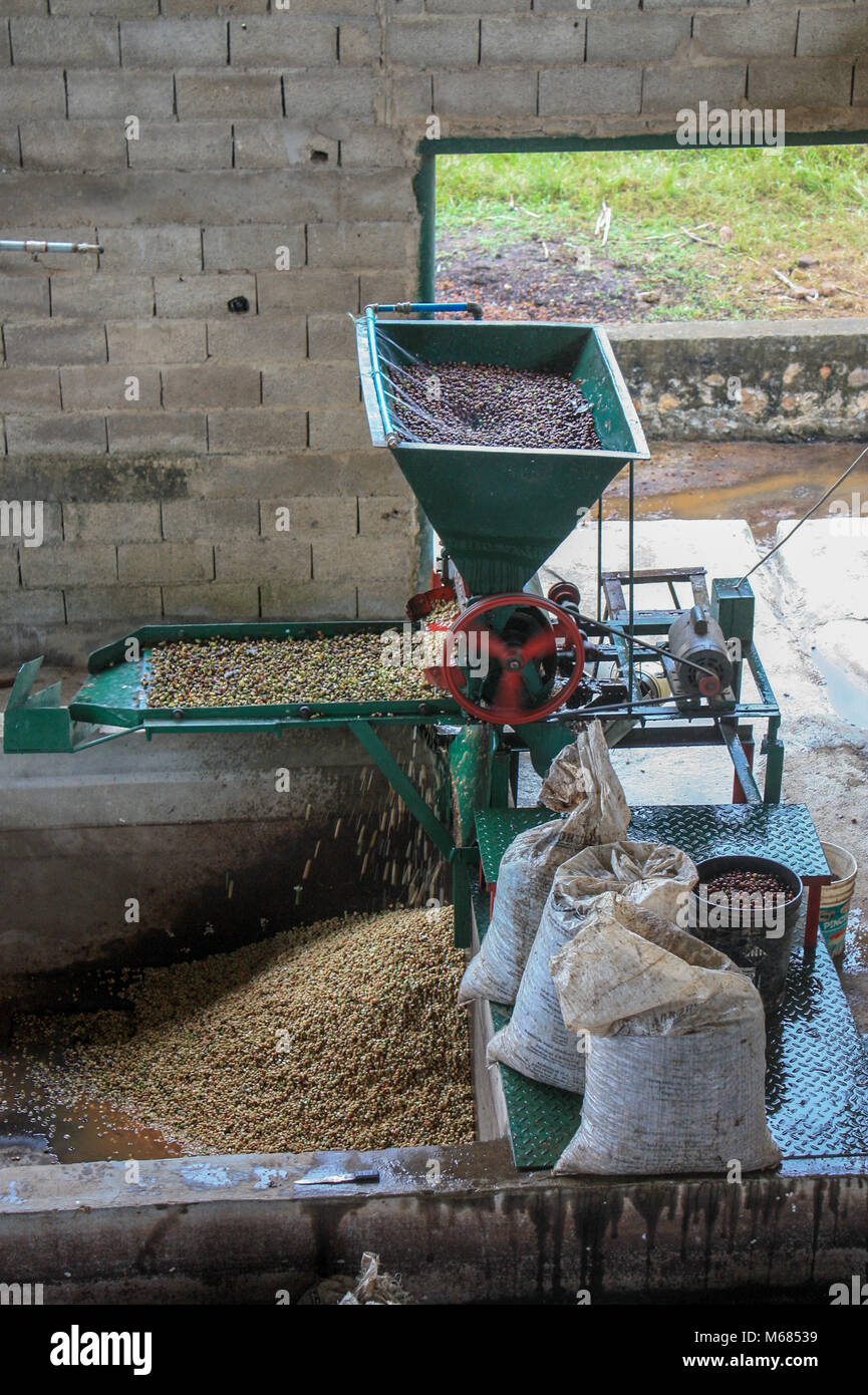 Sorting coffee beans machine hi-res stock photography and images - Alamy