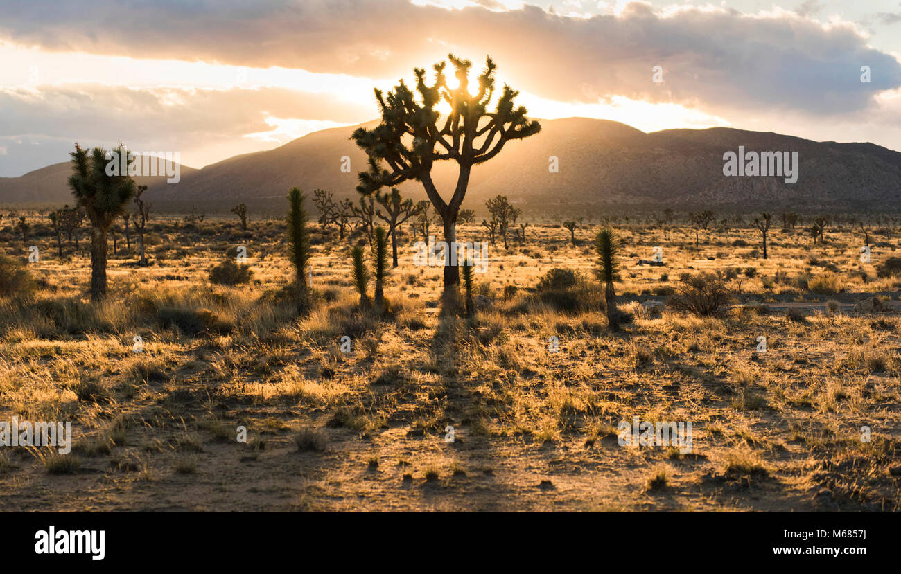 Sunset in Queen Valley Stock Photo - Alamy