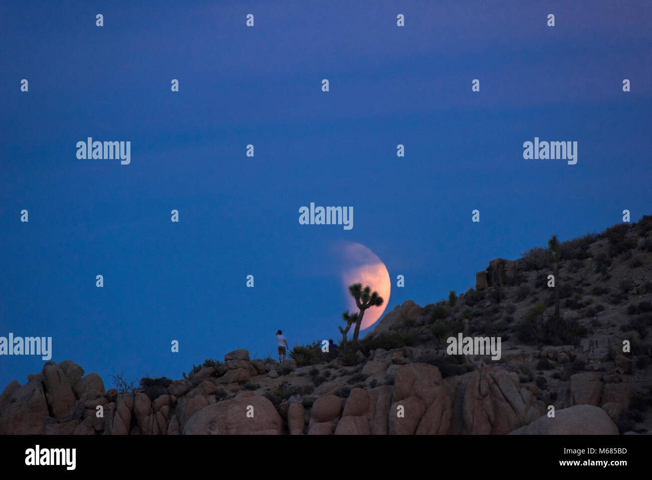 Super Blood Moon; lunar eclipse of full moon at perigee Stock Photo - Alamy