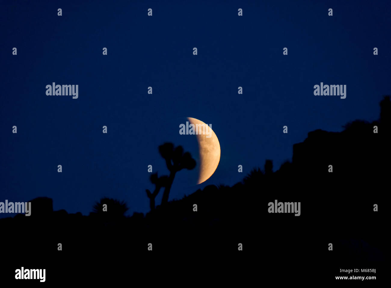 Full moon at perigee hi-res stock photography and images - Alamy