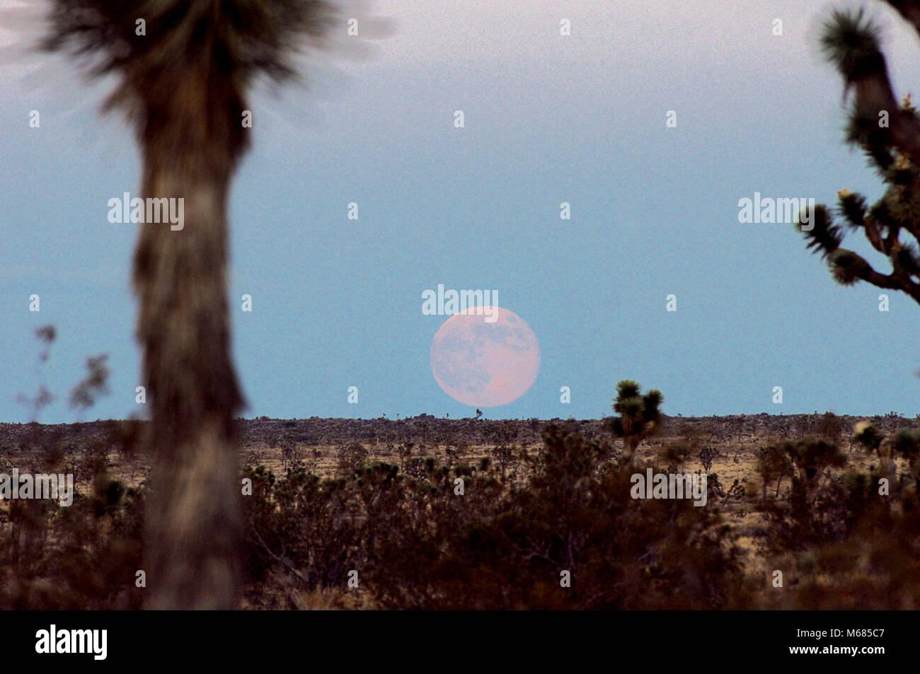 Supermoon california hi-res stock photography and images - Alamy