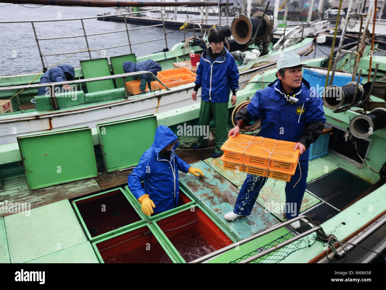 Japanese fishermen transferring the fresh fish from their fishing boat ...