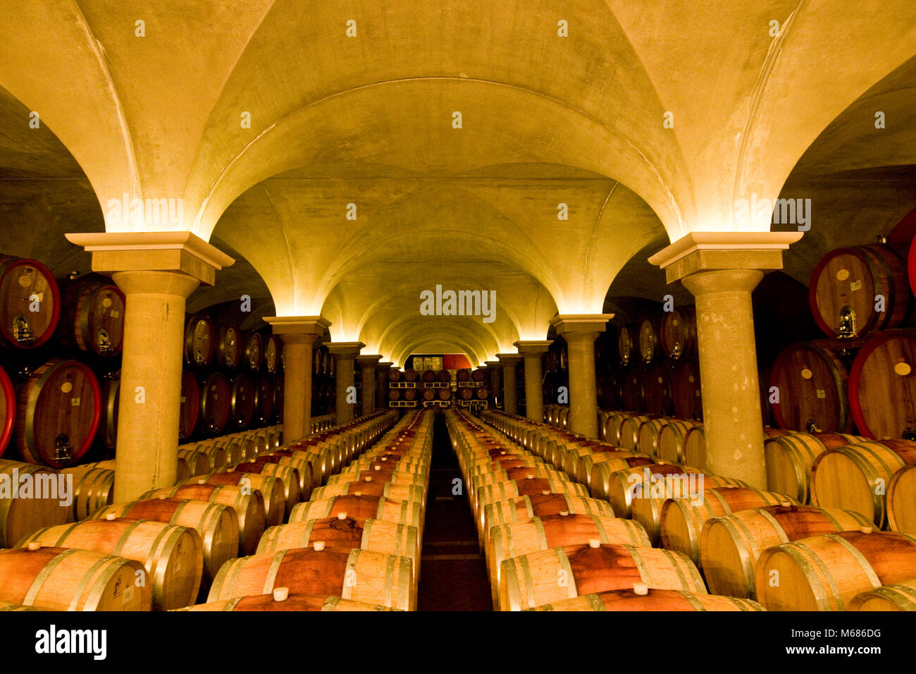 Zini hi-res stock photography and images - Alamy