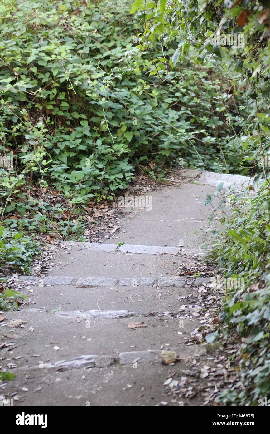 steps on a pathway Stock Photo - Alamy