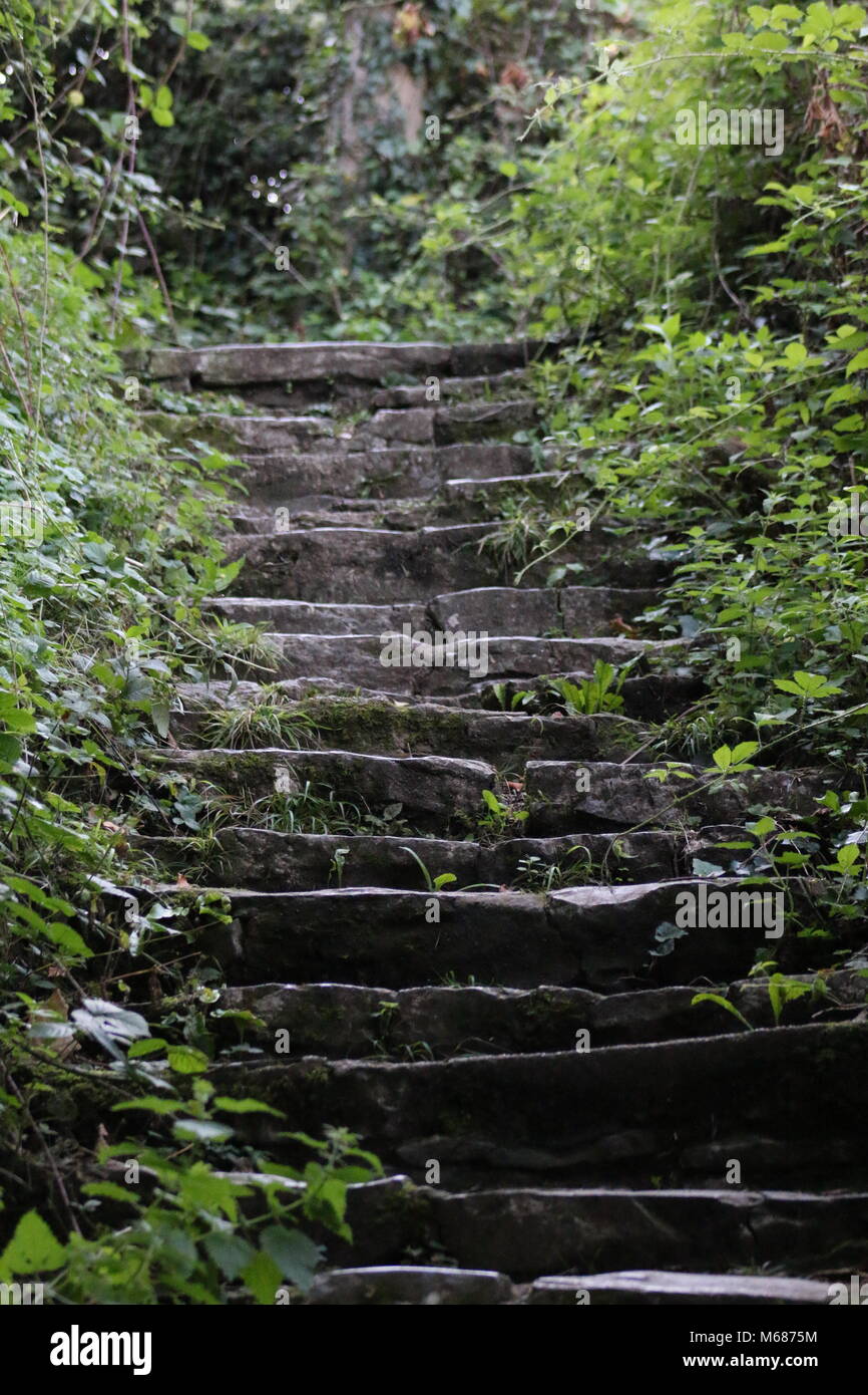 steps on a pathway Stock Photo - Alamy