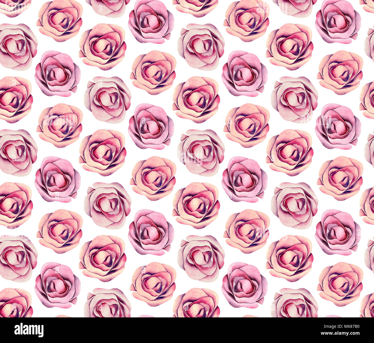 Watercolor roses hi-res stock photography and images - Alamy