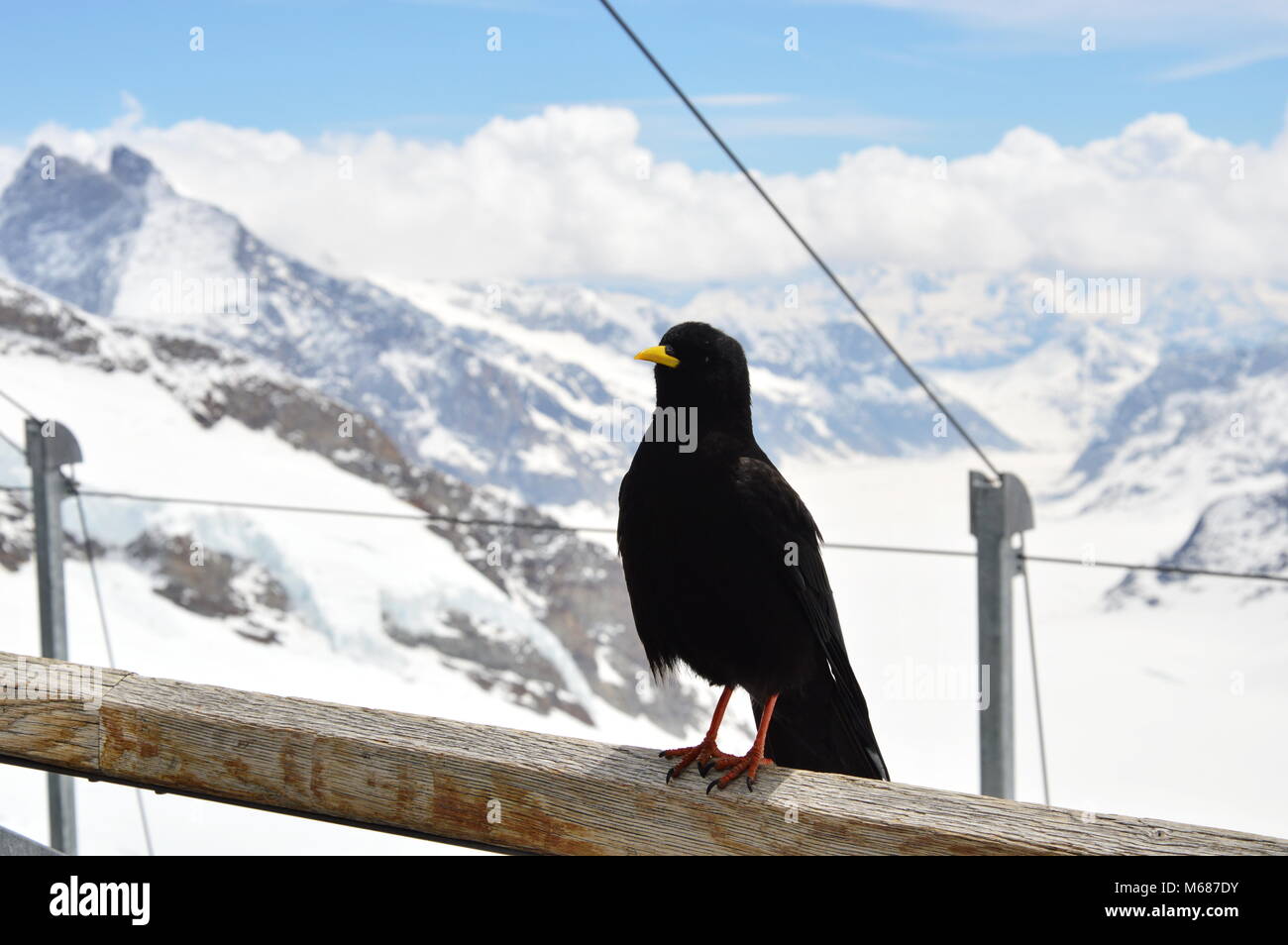 crow Jungfrau mountain in Switzerland Stock Photo - Alamy