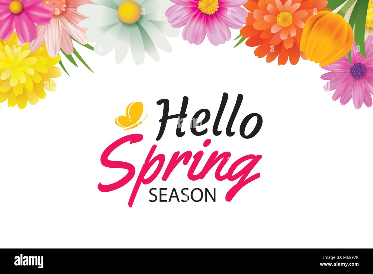 Hello spring beautiful tulip Stock Vector Images - Alamy