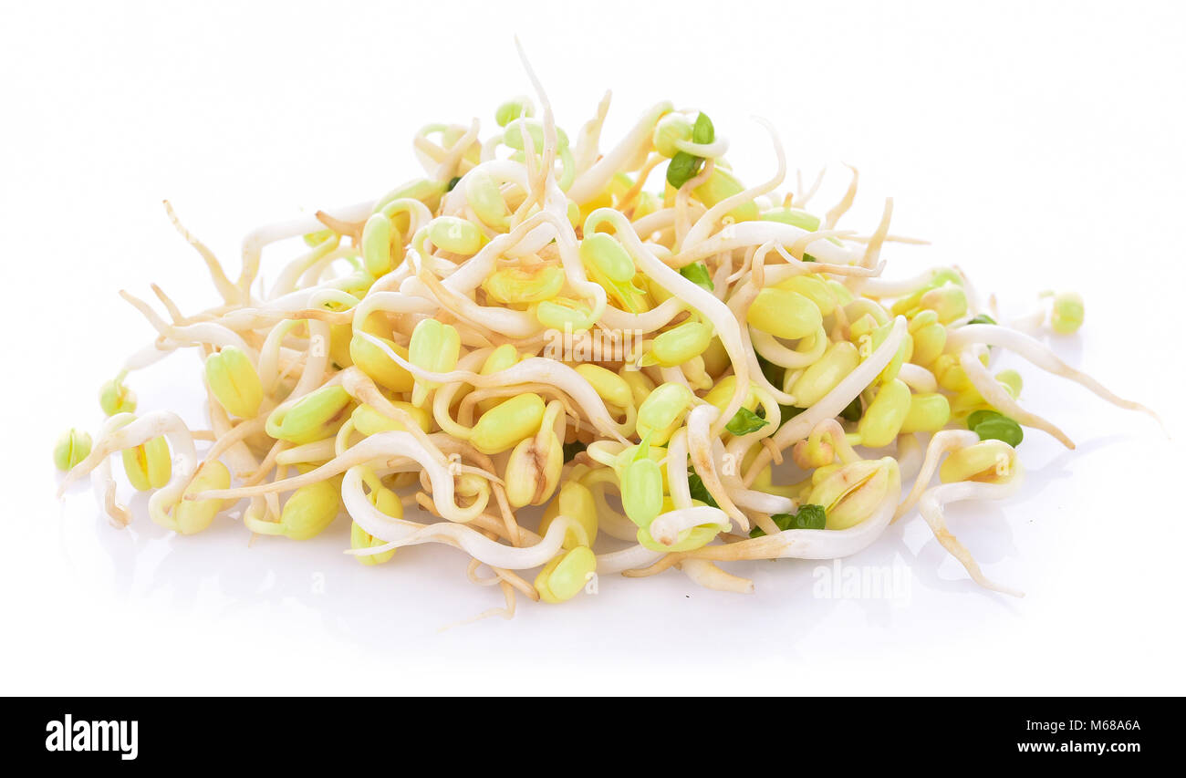 bean sprouts, soybean sprouts on white background Stock Photo - Alamy
