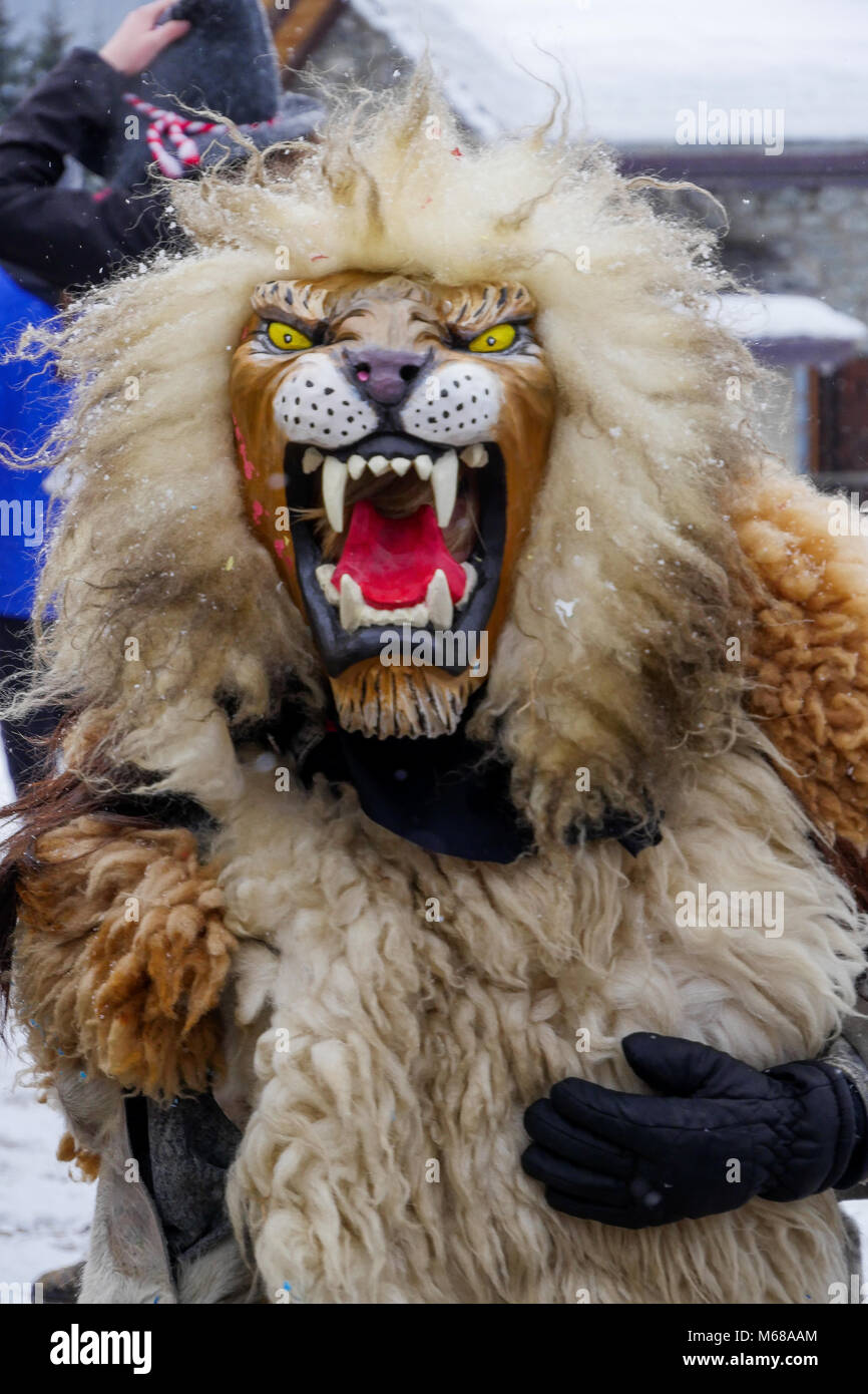Traditional carnival in Evolene, Val d'Herens, Valais, Swiss Stock ...