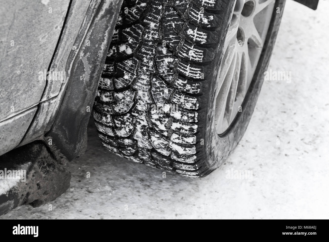 Car wheel on snow tire with metal studs, which improve traction on icy ...