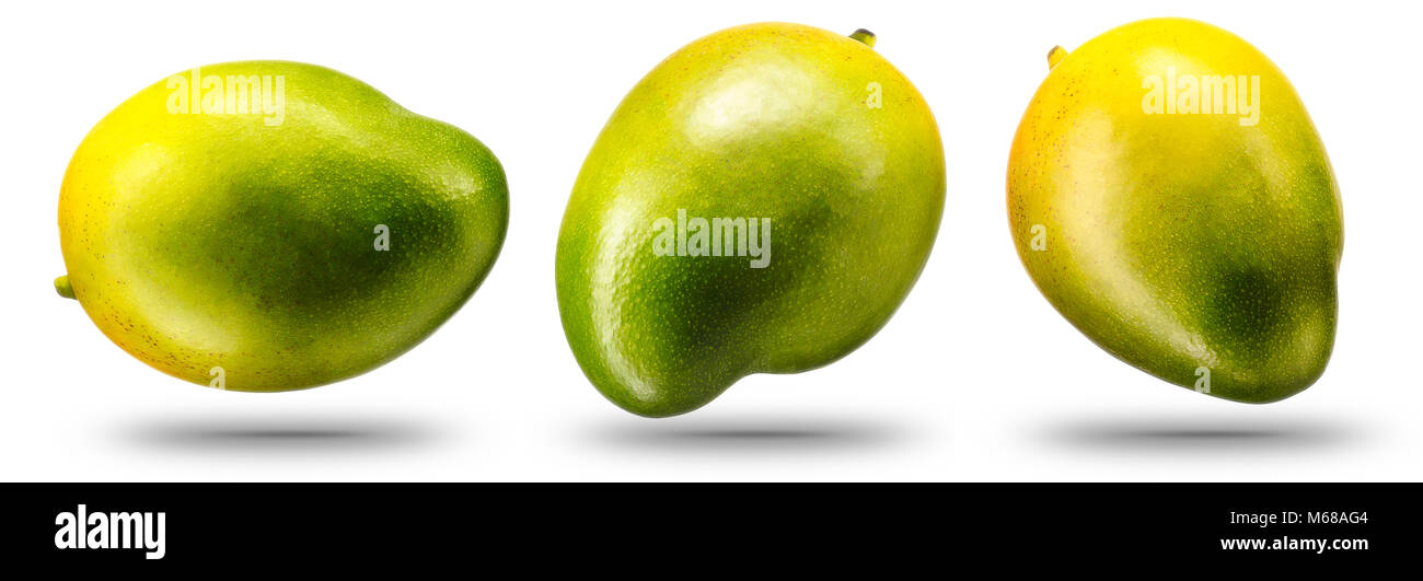 Collection of mango fruit isolated on white background with shiny ...