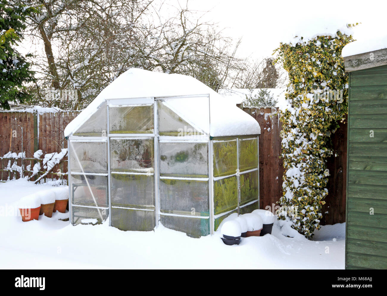 A view of a greenhouse covered in snow in an urban garden at Hellesdon ...