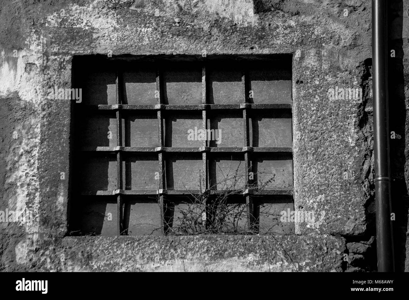 Black and white image of iron grid gate over boarded window Stock Photo ...