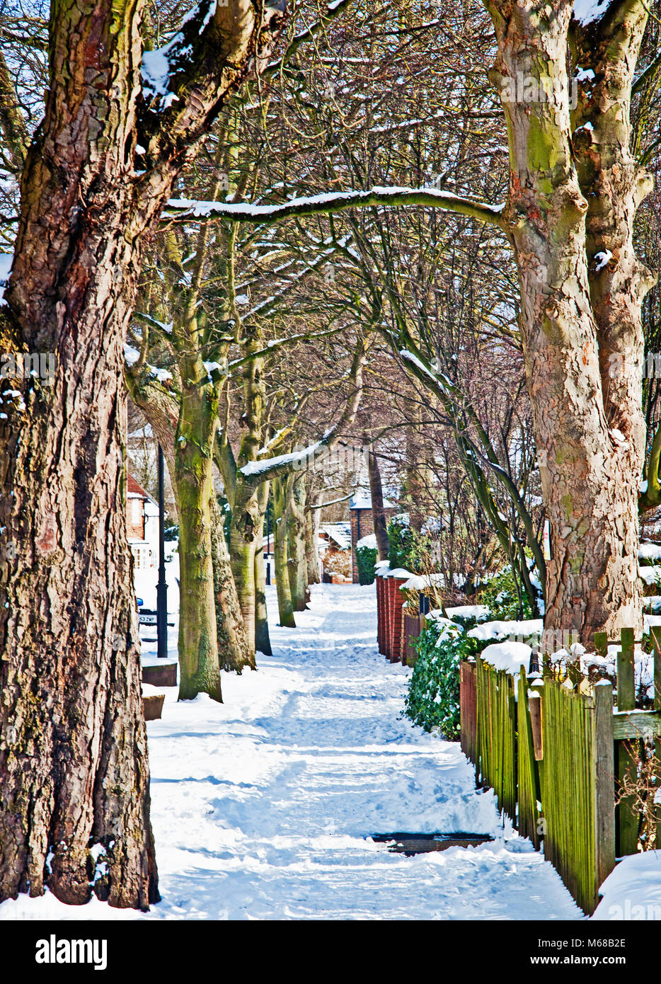 Hartburn village hi-res stock photography and images - Alamy