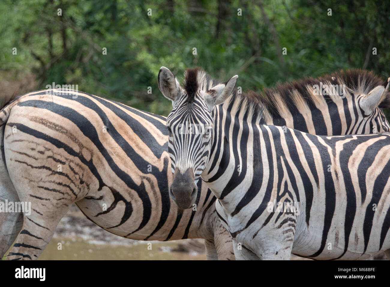 2x2 hi-res stock photography and images - Alamy