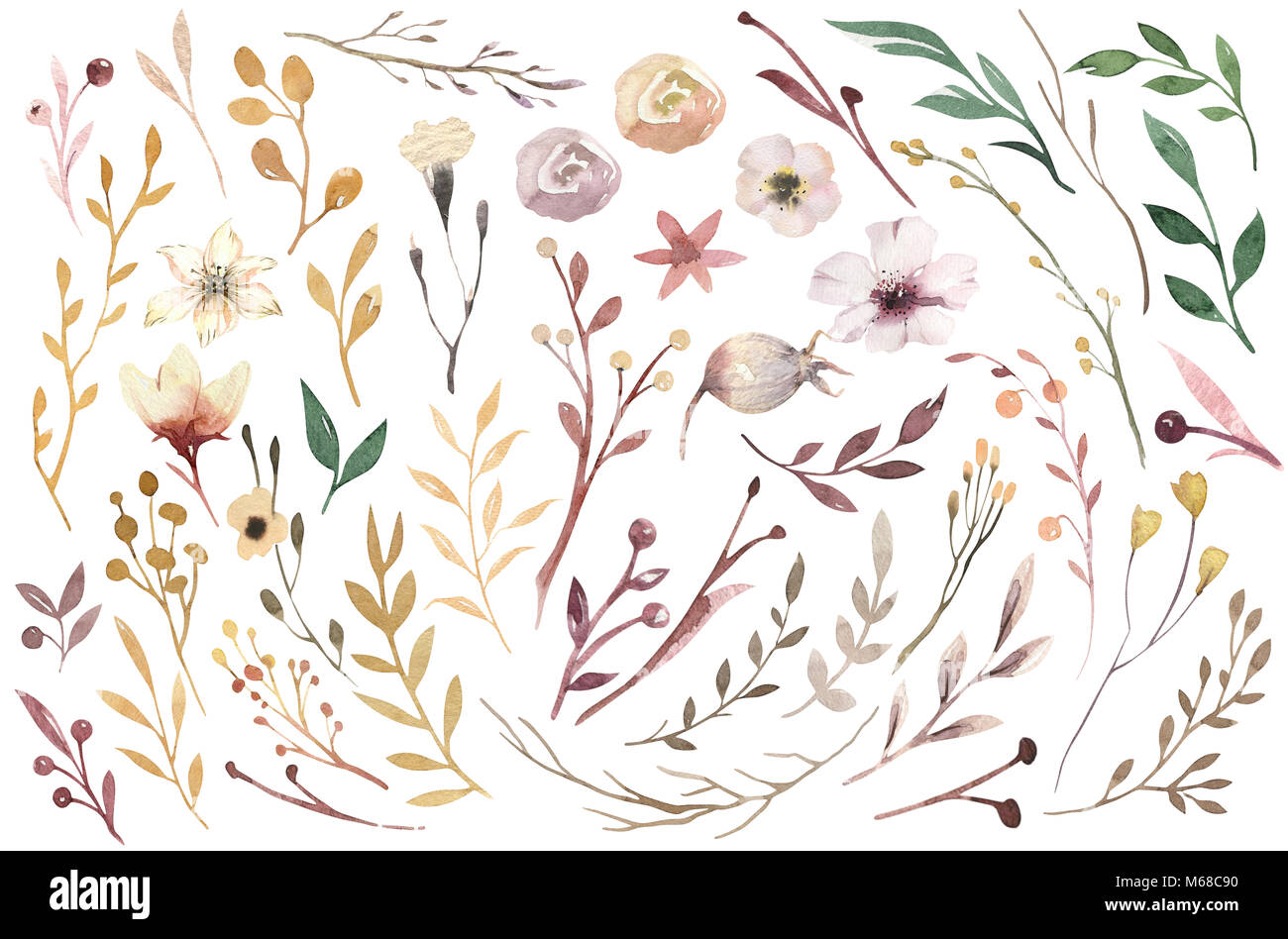 Set boho watercolor elements of flowers, garden and wild flowers ...