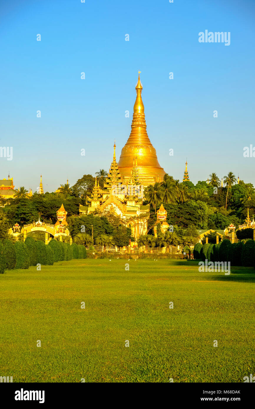 The golden Shwedagon pagoda, the most sacred pagoda of Myanmar, is ...